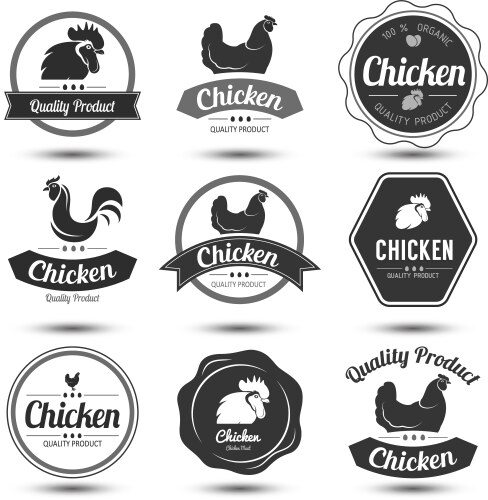 Set of an chicken and eggs label Royalty Free Vector Image