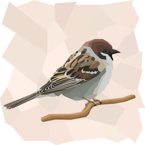Sparrow Single Bird Vector Images (over 190)