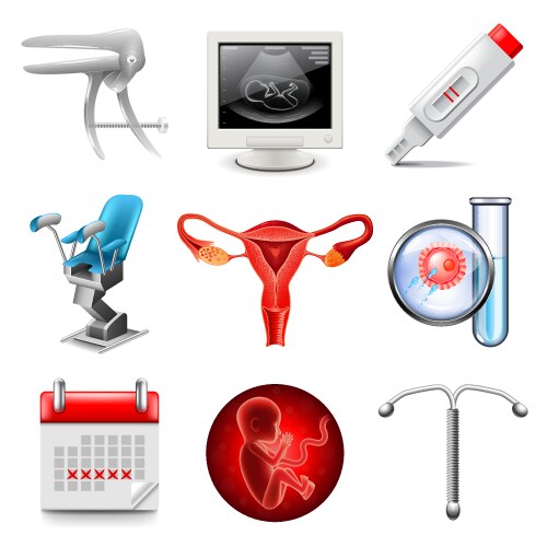 Human pregnancy icons set Royalty Free Vector Image