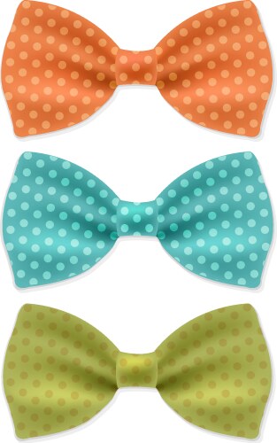 Realistic bow tie Royalty Free Vector Image - VectorStock
