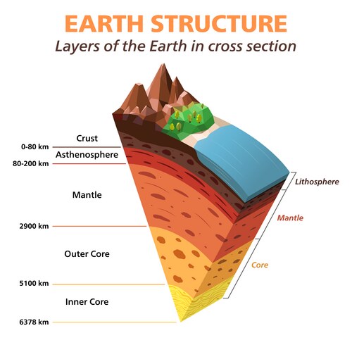 Soil Layers Diagram - Earth Science – Royalty-Free Vector | VectorStock