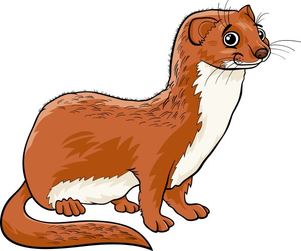 Weasel cartoon animal Royalty Free Vector Image