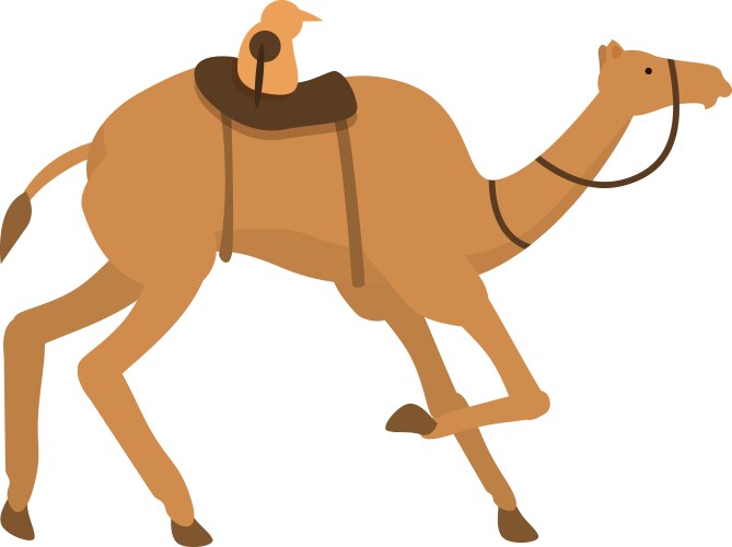 Camel Racing Vector Images (over 150)