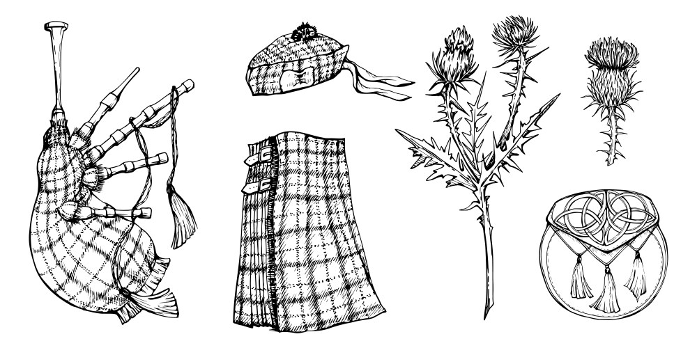 Ink Hand Drawn Sketch Of Isolated Object Scotch Vector Image