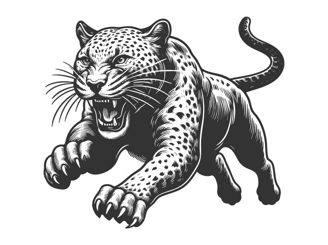 Roaring Leopard Vector Images (over 3,300)