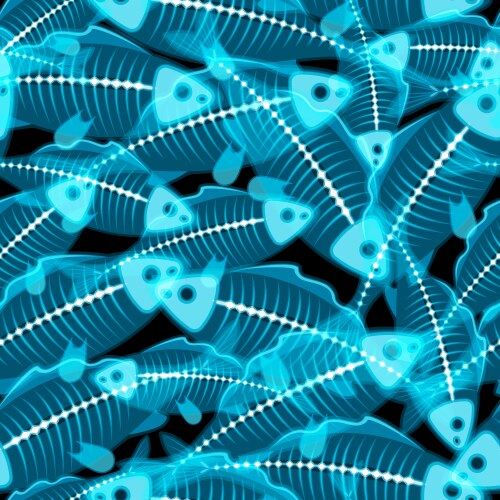 X-Ray Fish Vector Images (over 260)