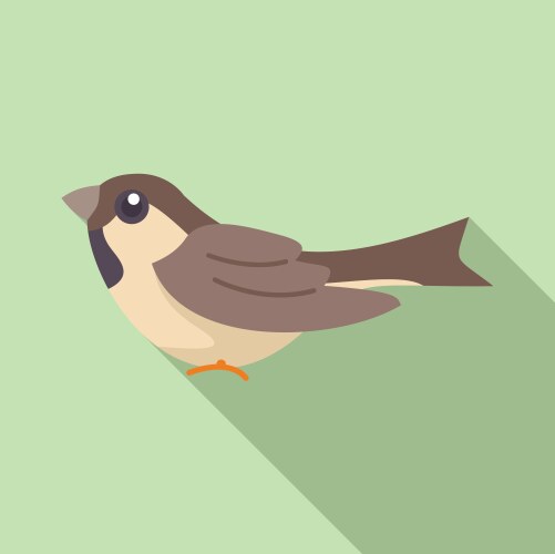 Sparrow Vector Images (over 12,000)