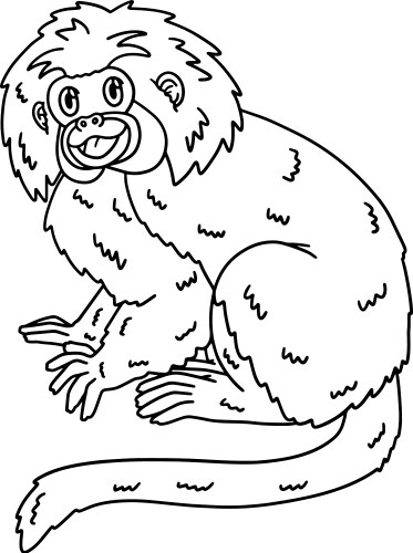 Golden lion tamarin monkey coloring page for kids Vector Image
