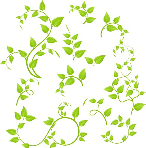 Branches Vector Images (over 680,000)
