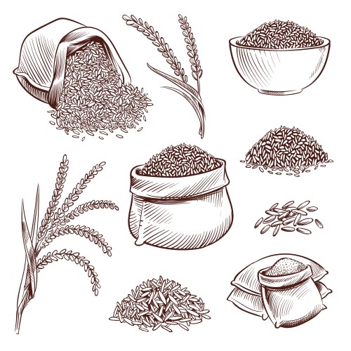 Rice Sack Vector Images (over 2,200)