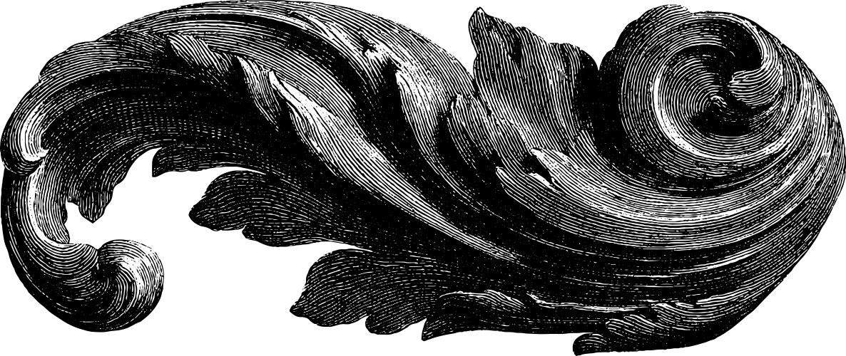 Engraving Scroll Vector Images (over 6,900)