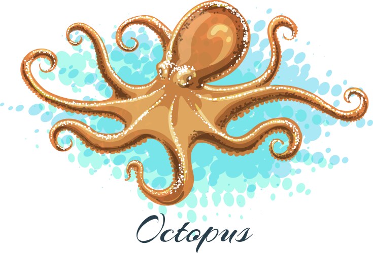 Octopus Vector Images (over 34,000)