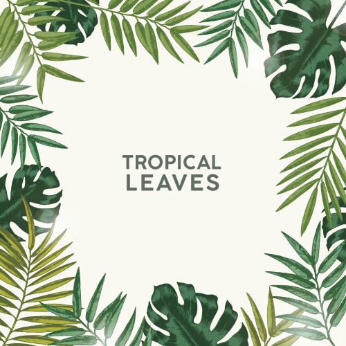 Jungle frame Royalty Free Vector Image - VectorStock