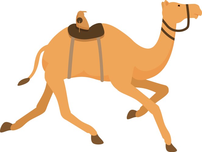 Camel Racing Vector Images (over 140)