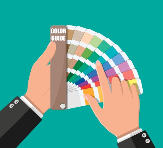 Color palette guide on transparent background Vector Image