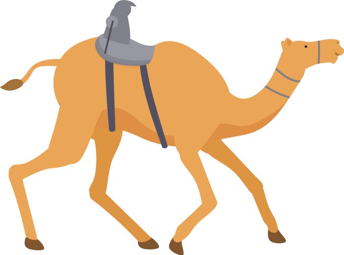 Camel Racing Vector Images (over 150)