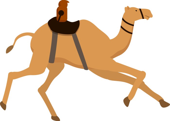 Camel Racing Vector Images (over 150)