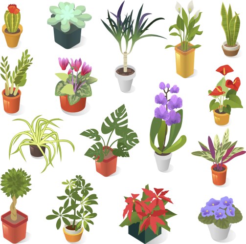 Grow a plant Royalty Free Vector Image - VectorStock
