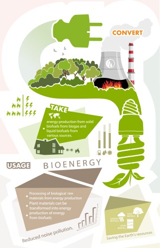 Renewable energy infographic Royalty Free Vector Image