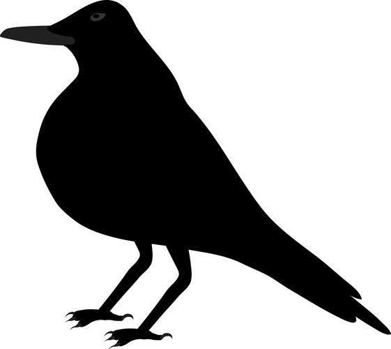 Crow clip art black and white Vector Images & Graphics for Commercial ...