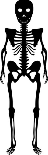 Halloween black skeleton Royalty Free Vector Image