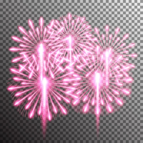 Firework peony shape burst realistic Royalty Free Vector