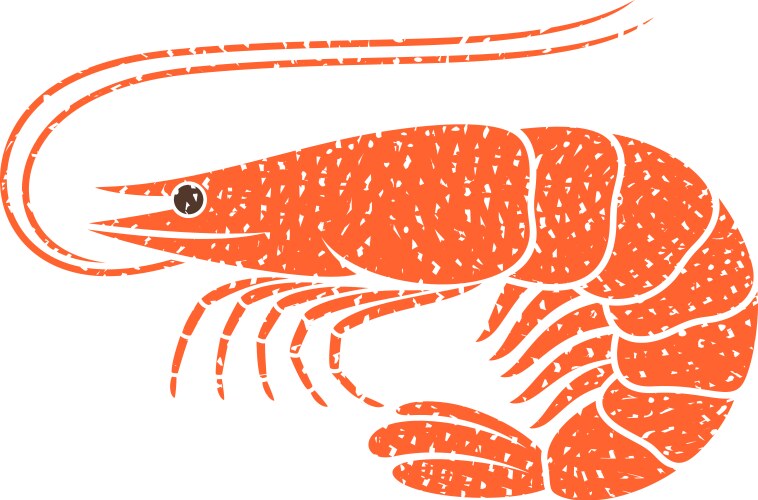Shrimp Royalty Free Vector Image - VectorStock