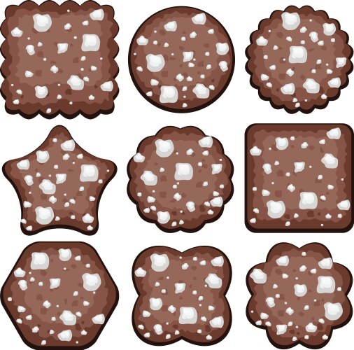 Set of colorful chocolate and biscuit chip cookies