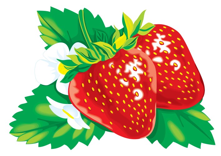Strawberry Vector Images (over 130,000)