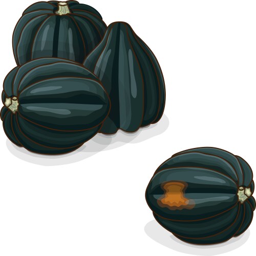 Acorn Clipart Vector Images (over 800)