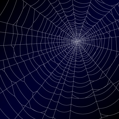 White spiderweb with spiders on transparent Vector Image