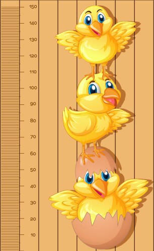 Height measurement chart with coconut tree Vector Image