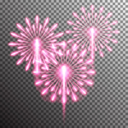 Firework peony shape burst realistic Royalty Free Vector