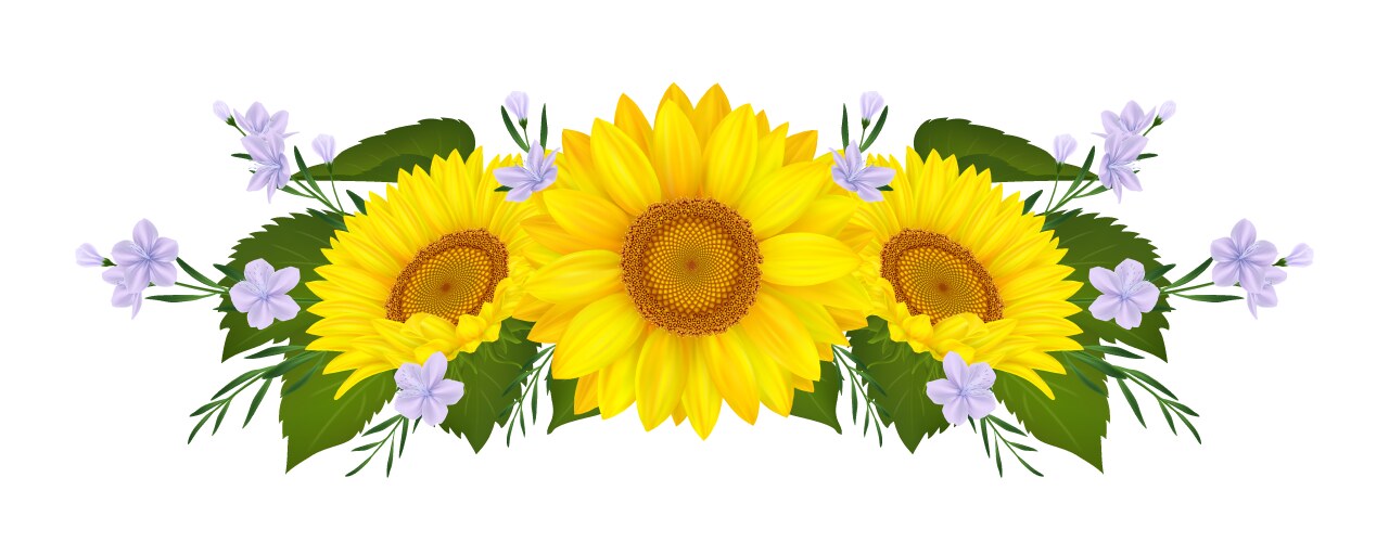 Yellow Flower Border Line