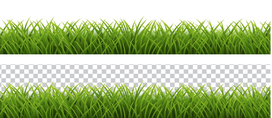 Green Border Vector Images (over 150,000)