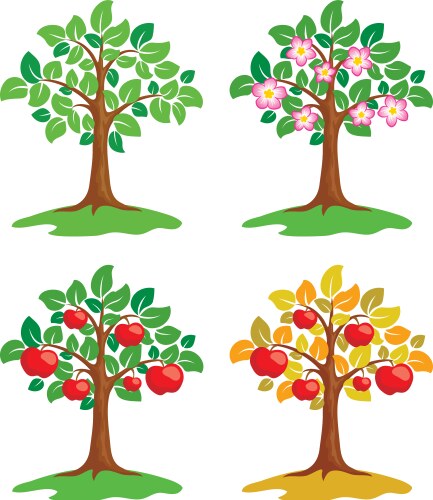 Cartoon apple tree isolated on white background Vector Image