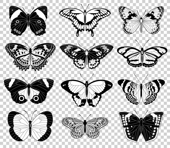 Butterfly Vector Images (over 170,000)