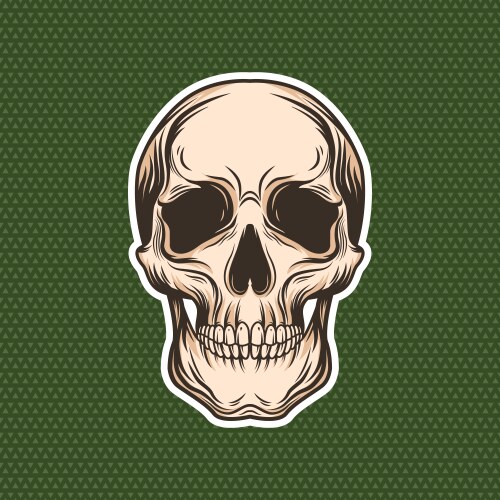 Skull Front Facing Vector Images (over 2,500)