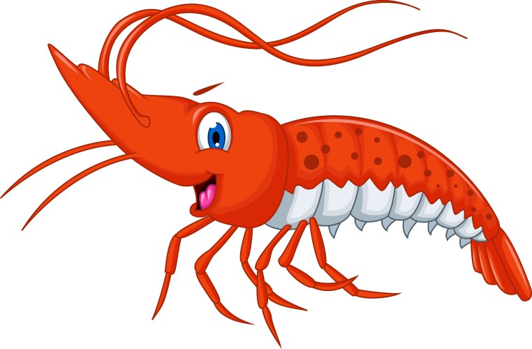 Cartoon shrimp isolated on white Royalty Free Vector Image
