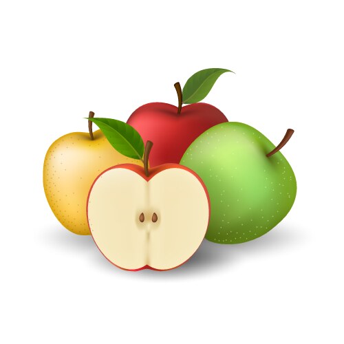 Realistic of apple Royalty Free Vector Image - VectorStock