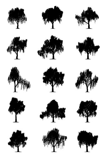 Weeping Willow Vector Images (over 240)