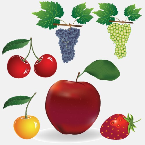 Fruit Vector Images (over 800,000)