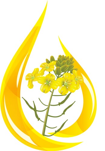 Mustard Oil Logo Vector Images (over 200)