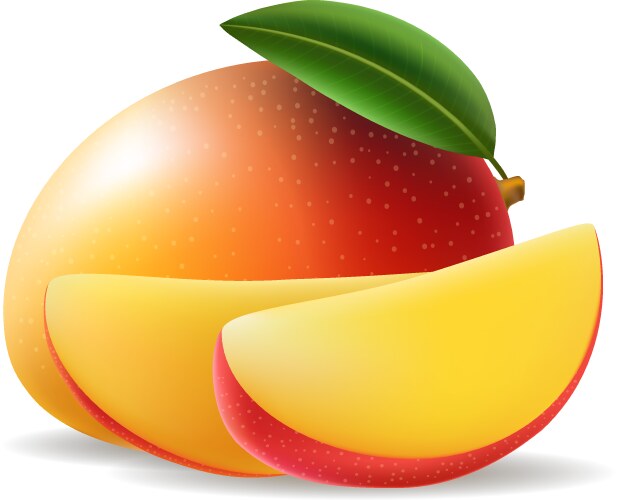 Mango Vector Images (over 21,000)