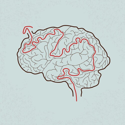 Brain Vector Images (over 260,000)