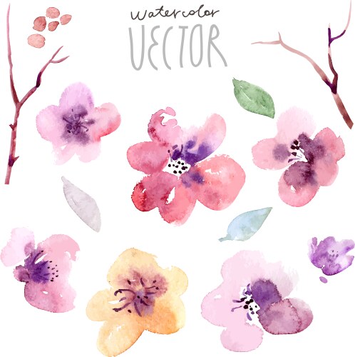 Sakura Vector Images (over 36,000)