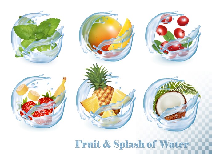 Big collection fruit in a water splash icons Vector Image