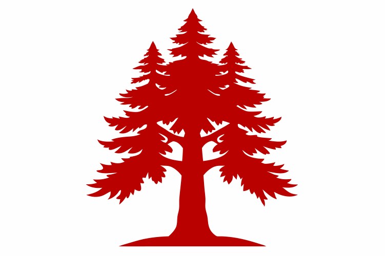 Redwood tree clean color l Royalty Free Vector Image