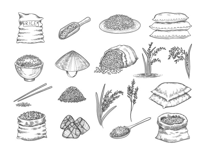 Chinese Rice Vector Images (over 19,000)