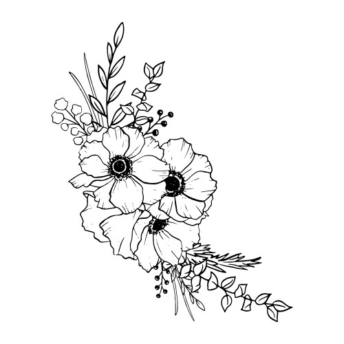 Poppy Etching Vector Images (over 200)